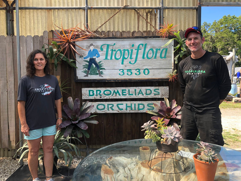 Old and New – Tropiflora