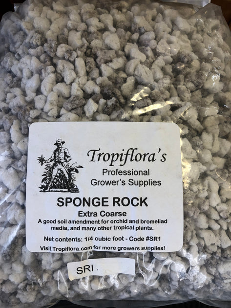 Sponge Rock - Extra Coarse – Tropiflora